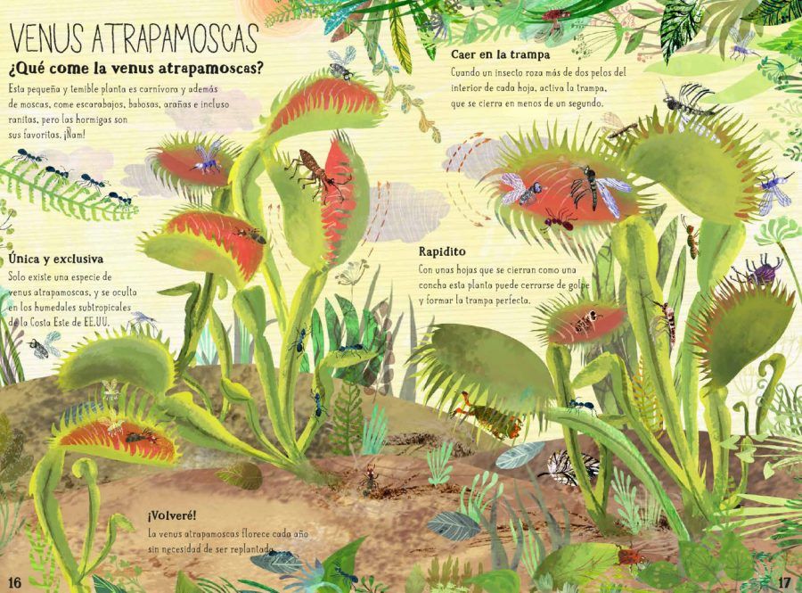 El gran libro de las flores - Editorial Juventud