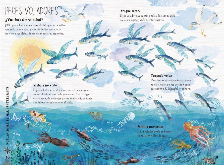 El gran libro del mar - Editorial Juventud